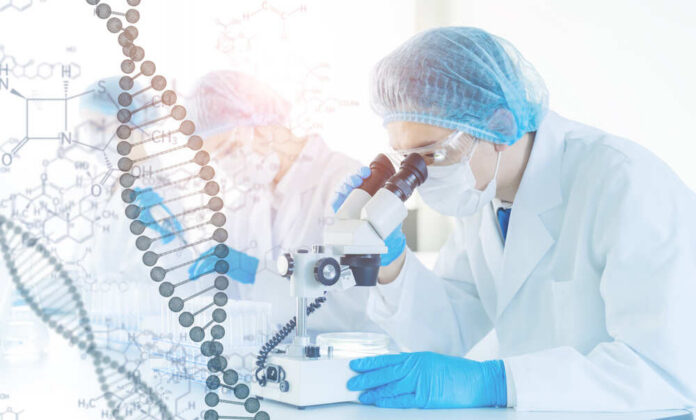 NASA’s Bold Stem Cell Gamble: Real Breakthrough? | Everyday Patriot
